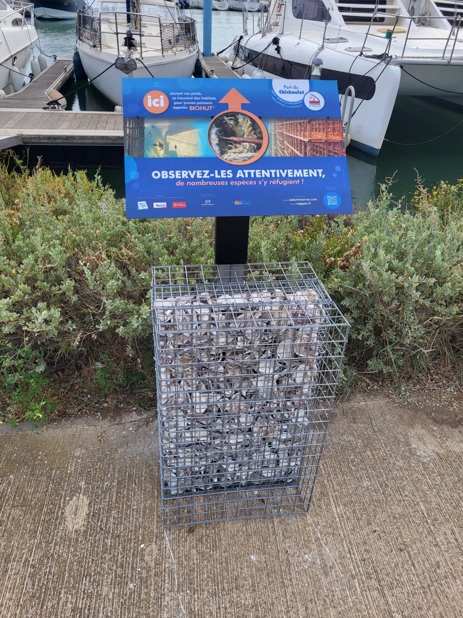 De nouveaux biohuts au port du Chichoulet - La Domitienne