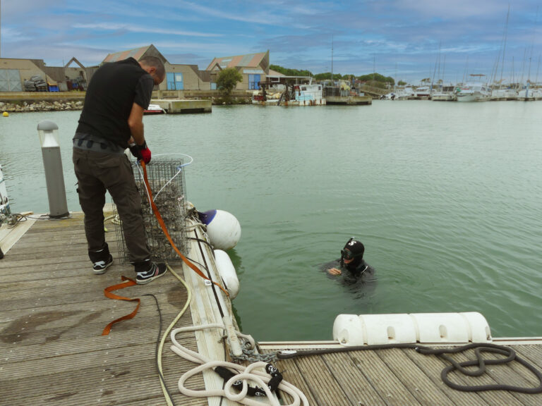 De nouveaux biohuts au port du Chichoulet - La Domitienne